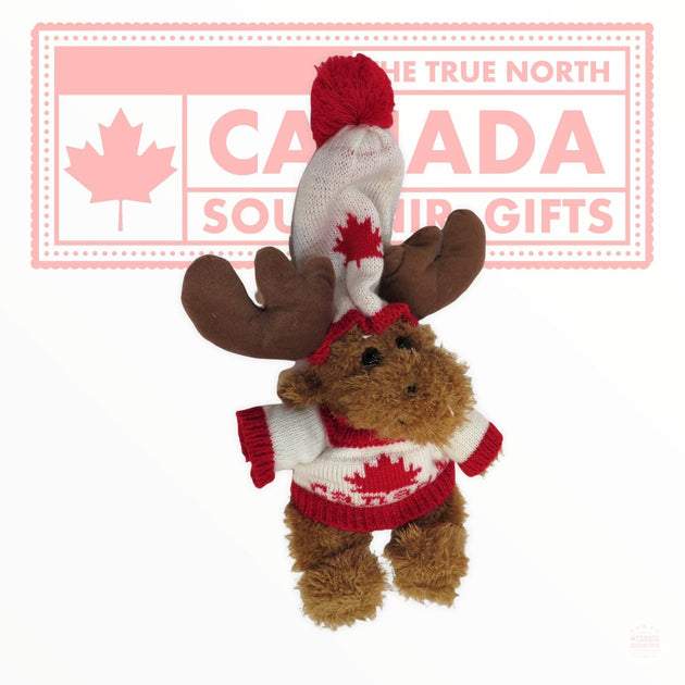 Canadian moose stuffed animal wearing sweater and toque, Canada and ma